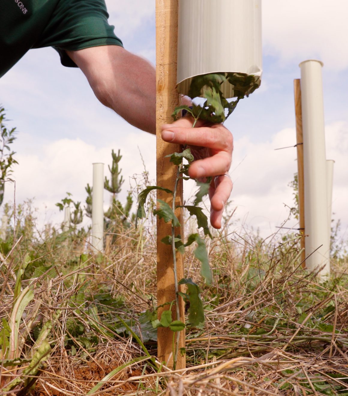 Home - Biome BioplasticsBiome Bioplastics